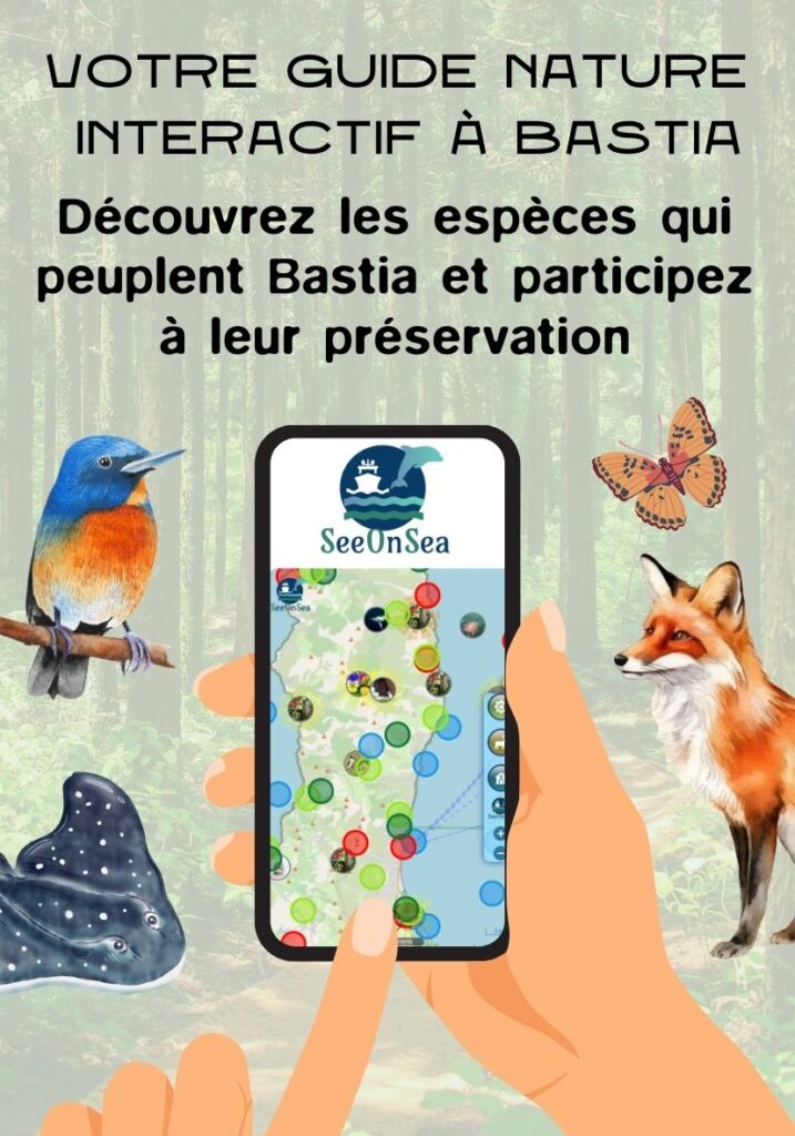 "custom snap-on boat covers" - Office de Tourisme de Bastia